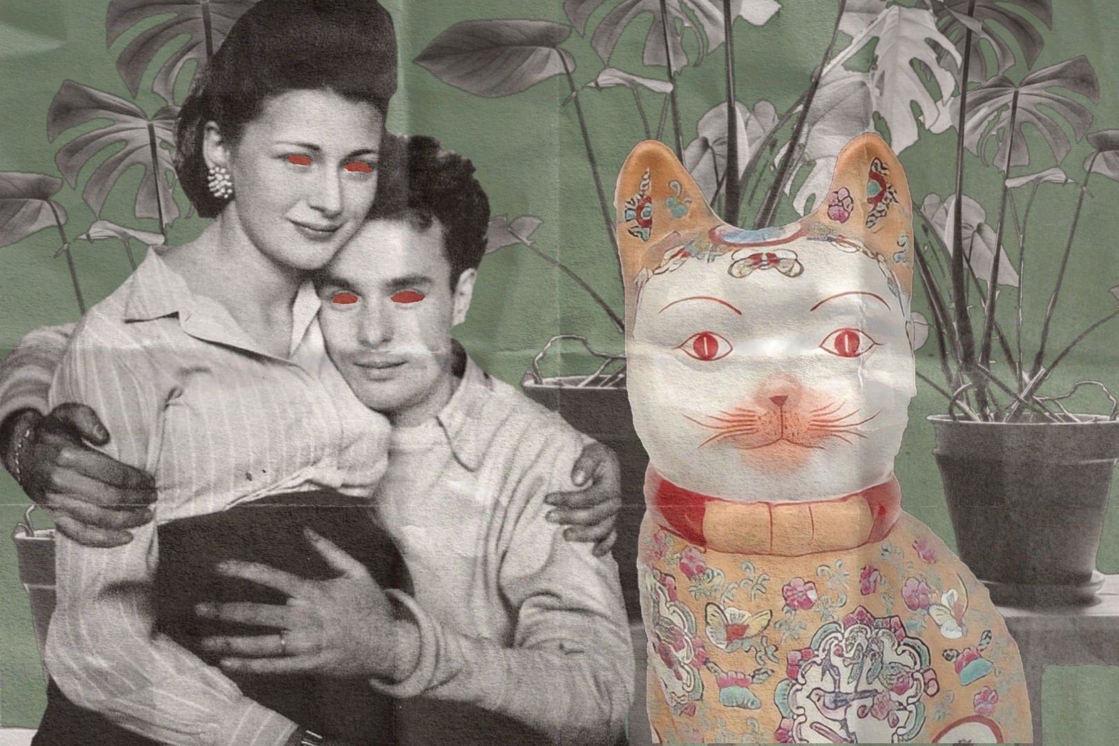 Cats, Fertility, and Unborn Babies? – My Kali Magazine