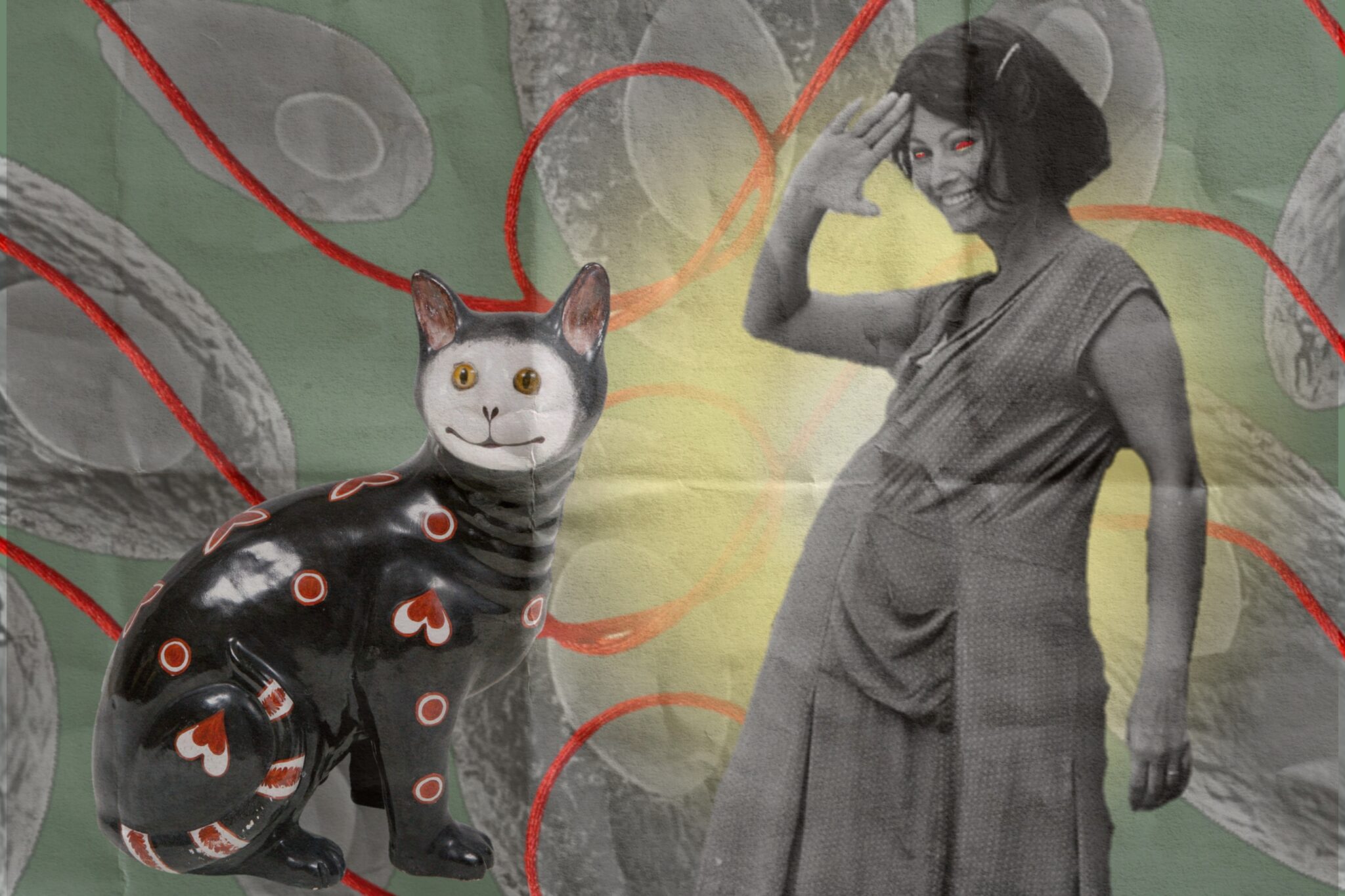 Cats, Fertility, and Unborn Babies? – My Kali Magazine