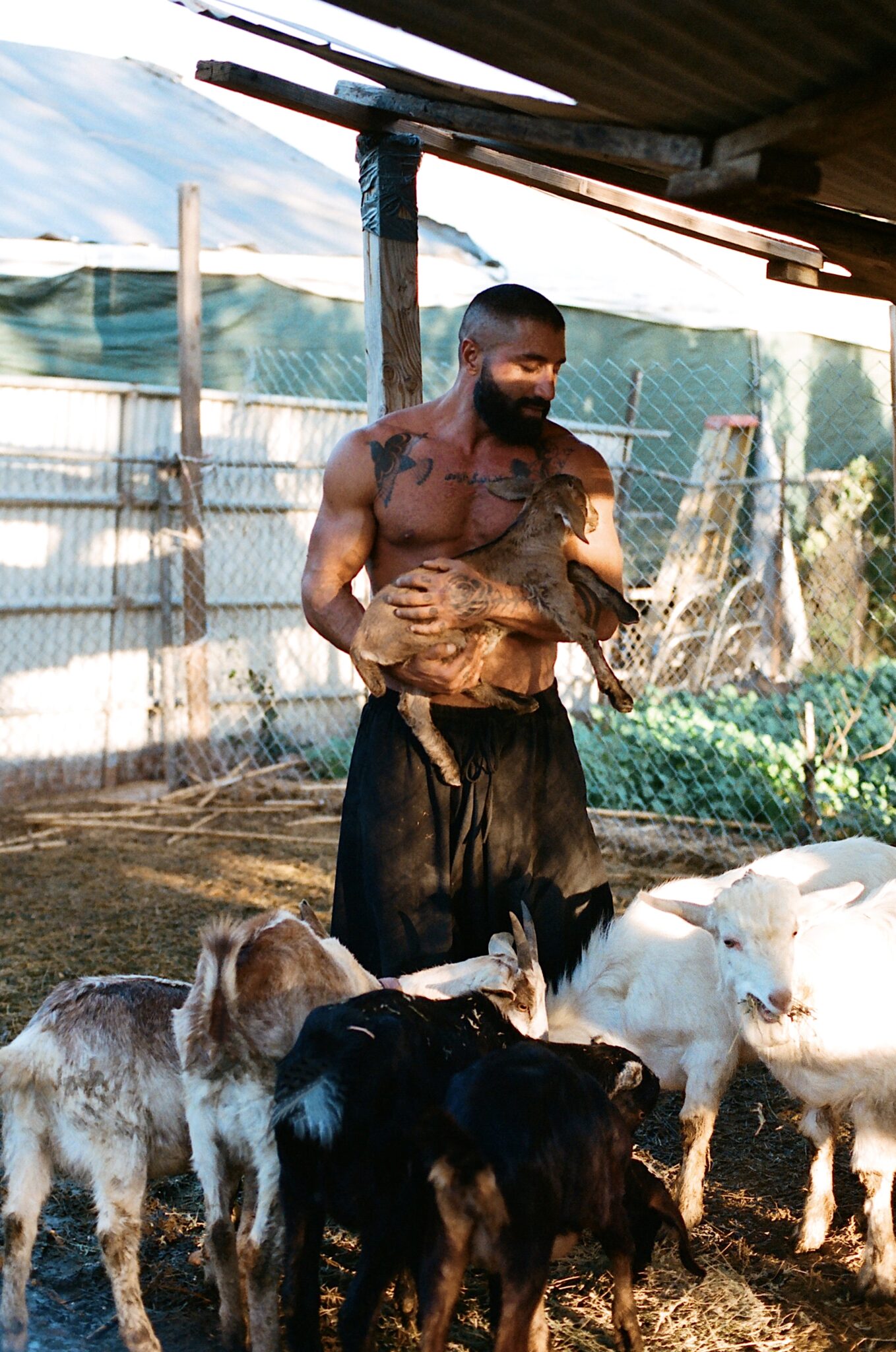 Sharok: On Intimacy Industries and Diaspora Blues – My Kali Magazine