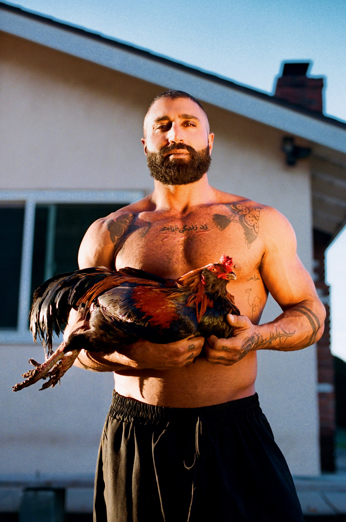 Sharok: On Intimacy Industries and Diaspora Blues – My Kali Magazine