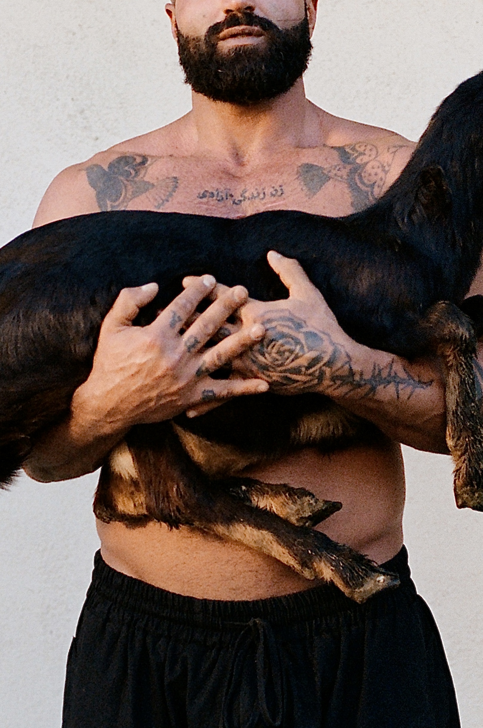 Sharok: On Intimacy Industries and Diaspora Blues – My Kali Magazine