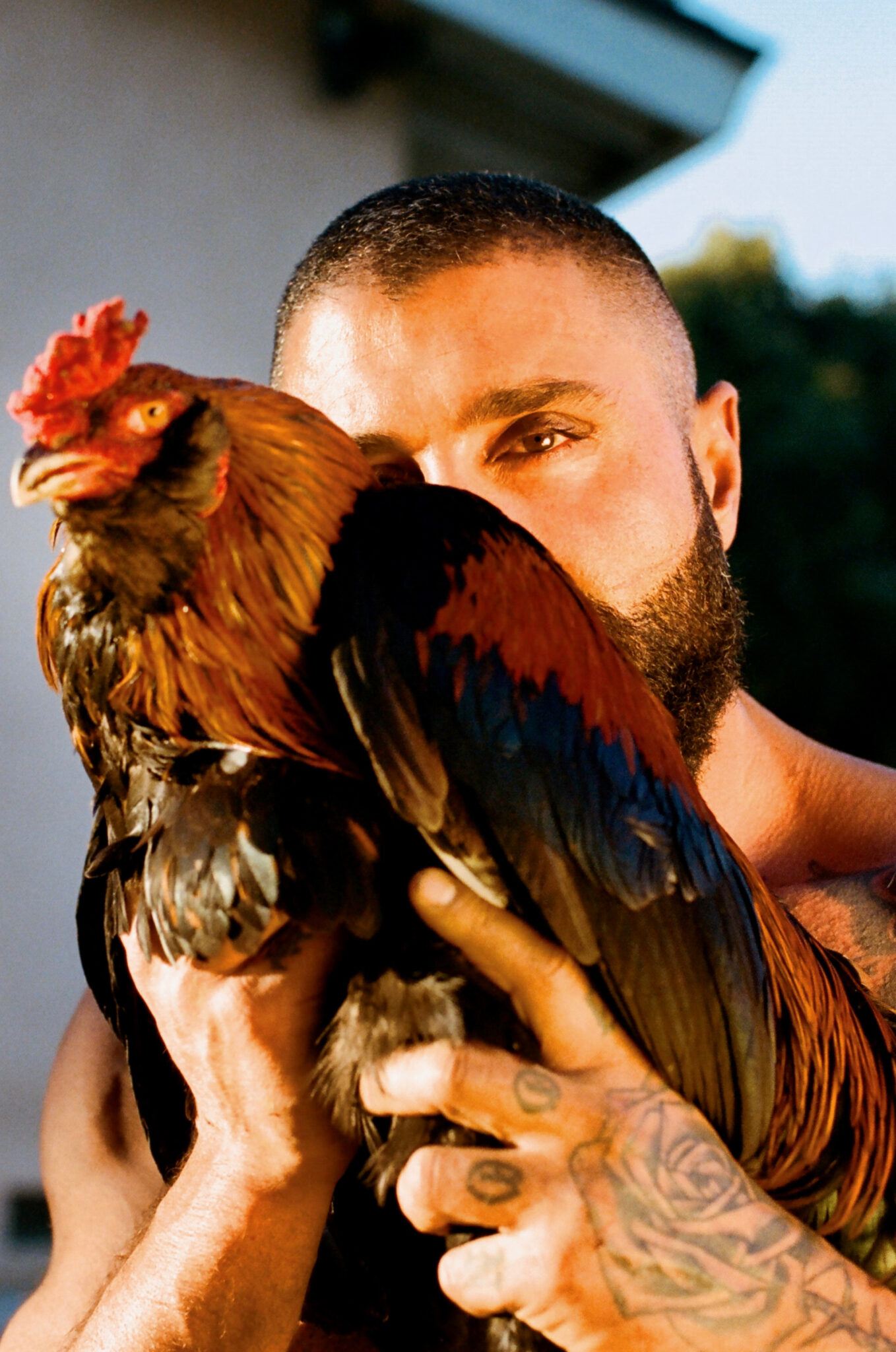 Sharok: On Intimacy Industries and Diaspora Blues – My Kali Magazine