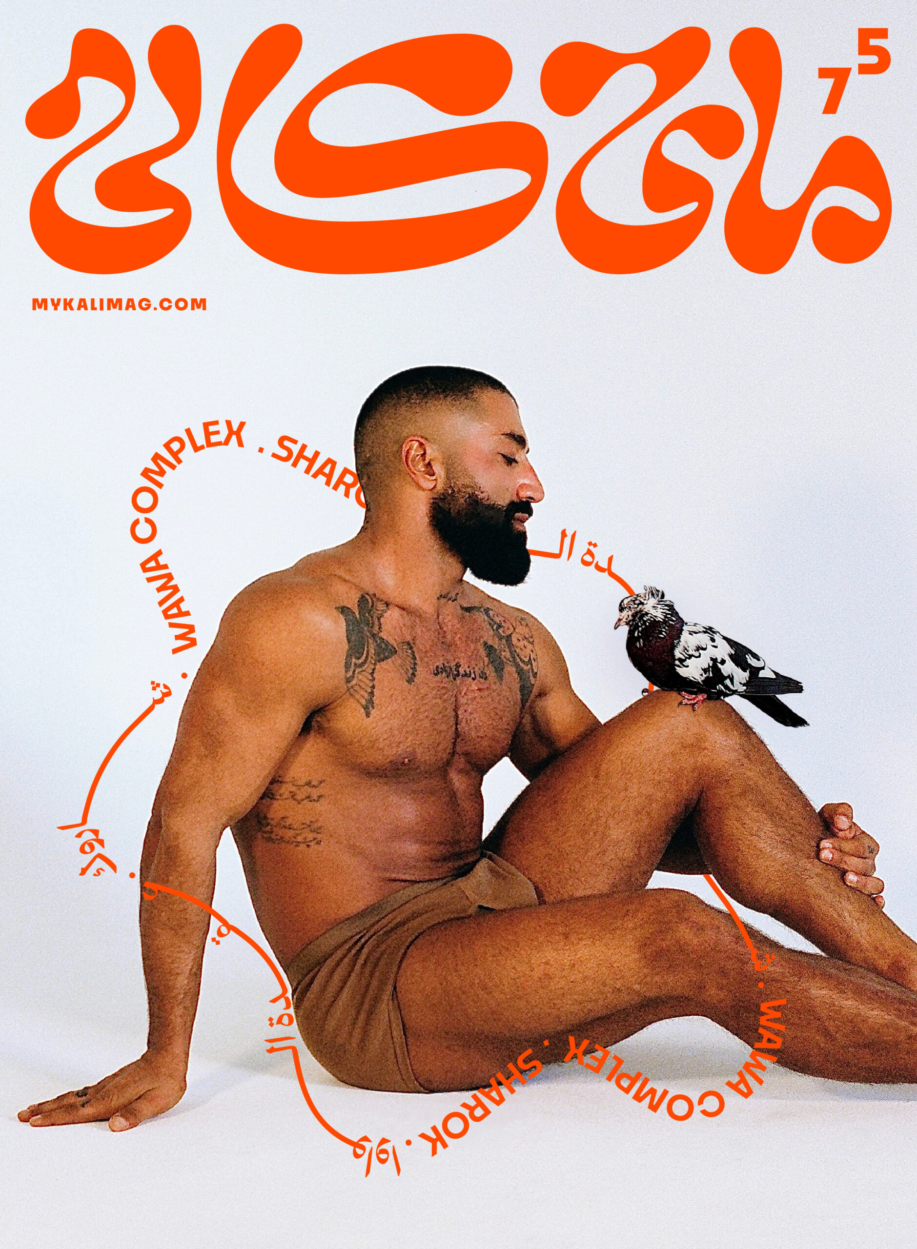 Sharok: On Intimacy Industries and Diaspora Blues – My Kali Magazine